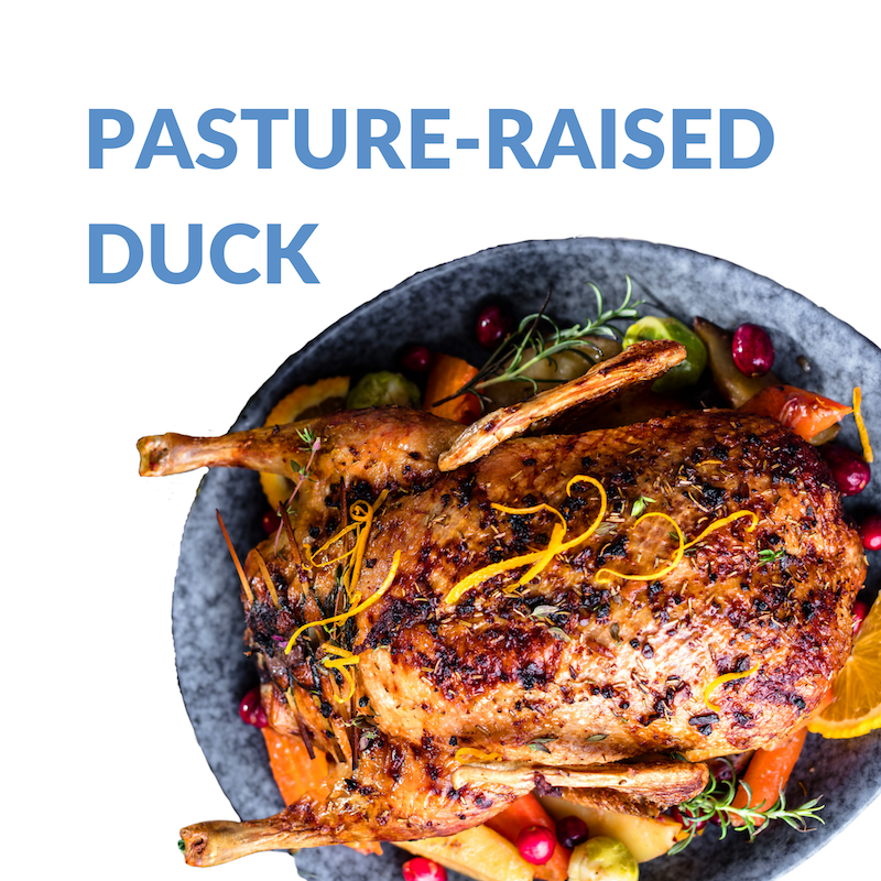 Shop Pasture Raised Duck | NC Duck Meat for Sale – Carolina Pastures