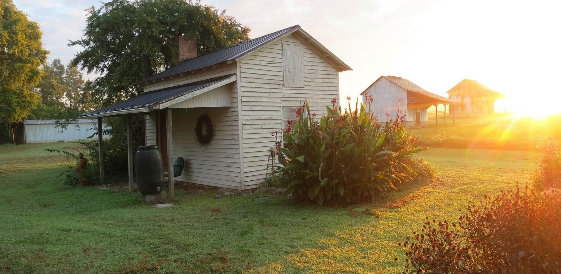 Carolina Pastures | NC Pastured Poultry Farm with Delivery ...