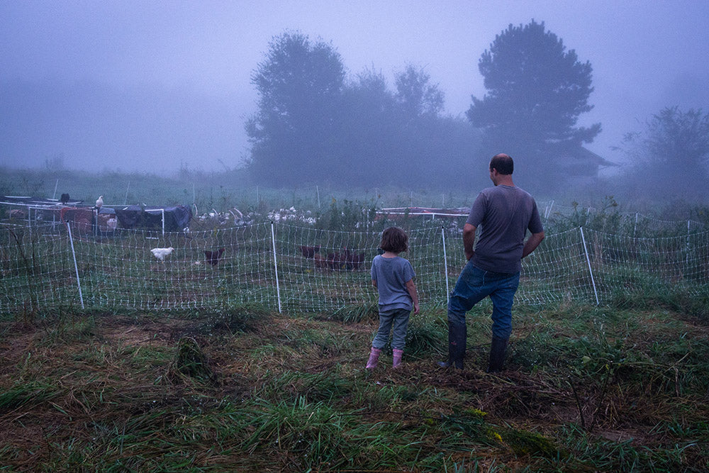 Carolina Pastures | NC Pastured Poultry Farm with Delivery